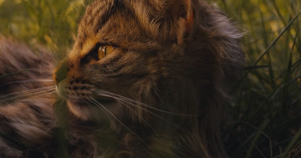 Creature Transforming Into Goo And Reforming VFX Prompt - Blog ...