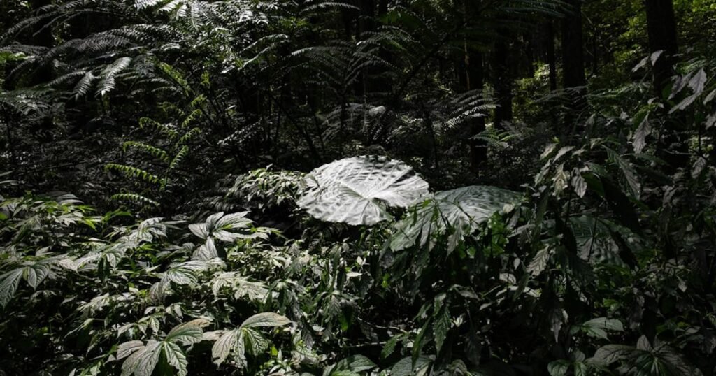 Rainforest Rebirth VFX Prompt - Blog - MakeAIPrompt.com
